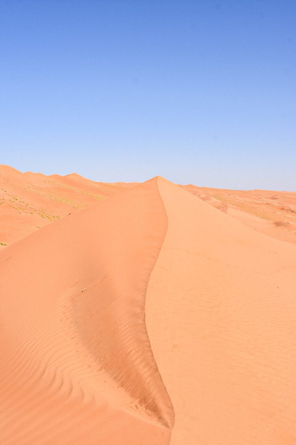 Wahiba Sands : Préparer son voyage dans le désert d'Oman