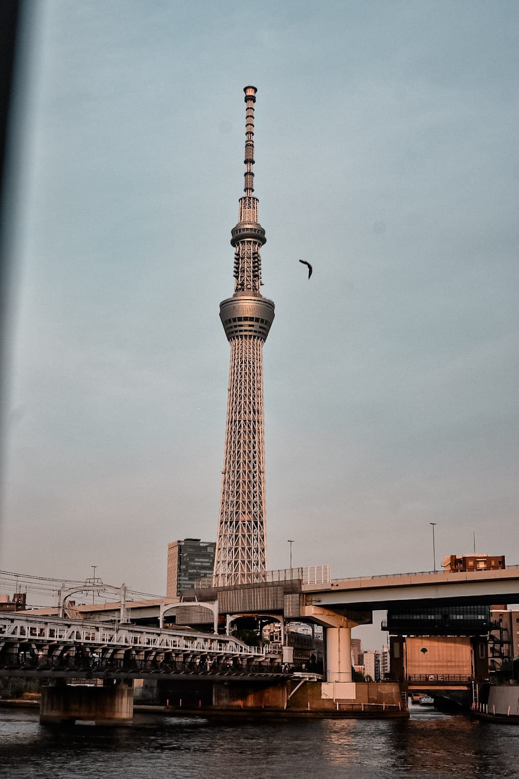 Visiter Tokyo en 3 jours : mes incontournables